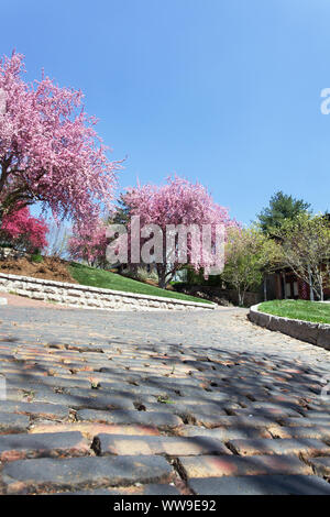 Historic Snake Alley; crookedest street in the world, in Burlington ...