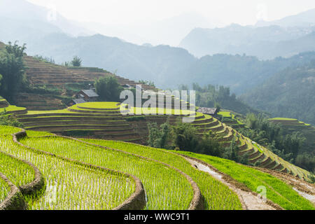 Ta Pa Rice field in mekong delta, An Giang, Vietnam Stock Photo - Alamy