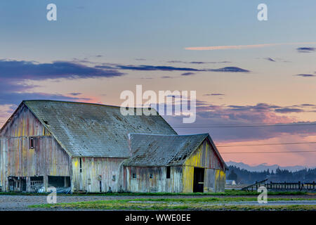 Old Barn, Skagit County, Wa Stock Photo - Alamy