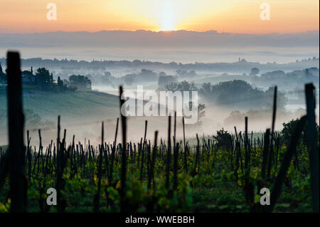 Morning fog in countryside Tuscany Stock Photo - Alamy