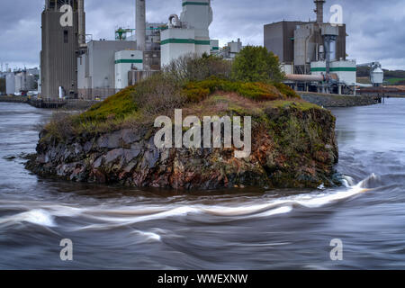Irving Pulp and Paper mill with reversing falls flowing by on the Saint ...