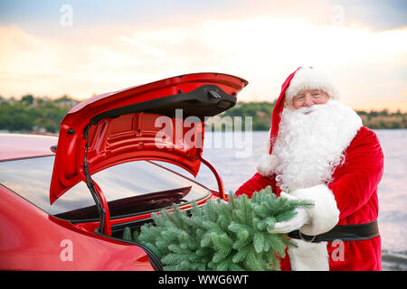 Santa Claus putting fir tree into car trunk on riverside Stock Photo ...