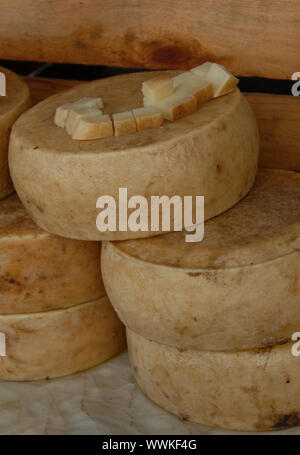 craft ewe's cheeses in a market in corsica Stock Photo - Alamy