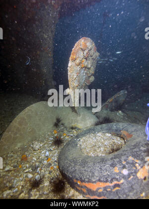 King Cruiser wreck Stock Photo - Alamy