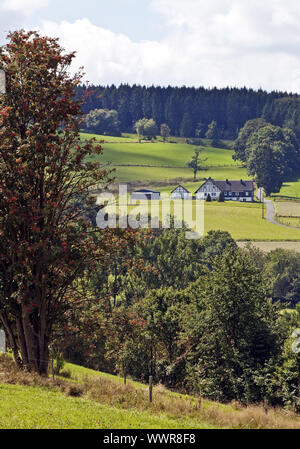 landscape at Sassenhausen, Bad Berleburg, Siegerland, North Rhine ...