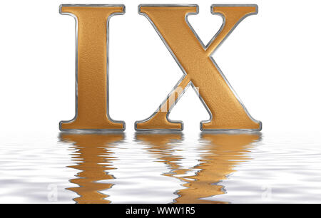 Roman numeral IX, novem, 9, nine, isolated on white background, 3d ...
