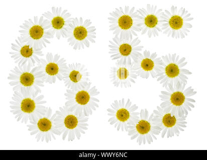 Arabic numeral 65, sixty five, from yellow flowers of buttercup ...