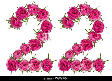 Arabic numeral 22, twenty two, from blue forget-me-not flowers ...