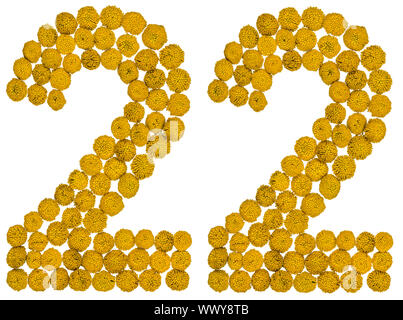 Arabic numeral 22, twenty two, from blue forget-me-not flowers ...