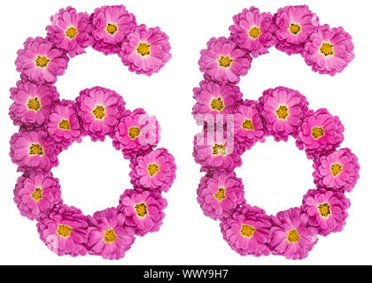 Numeral 66, sixty six, from natural blue flowers of periwinkle ...