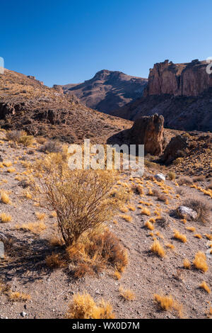 canyon of the Rio Pinturas near Cueva de los Manos, Argentina ...
