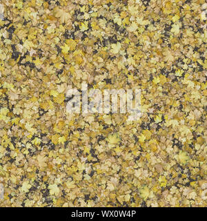 Background image leaves ; Vegetable plants Stock Photo - Alamy