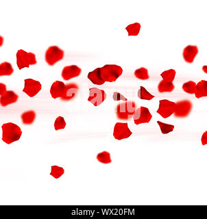 Many red roses (shallow DOF Stock Photo - Alamy