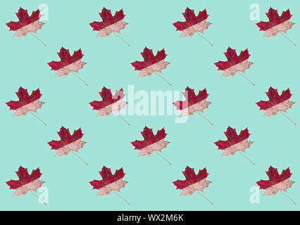 Trendy autumn background. Mint background with red leaves and blue ...