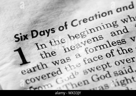 Six Days Of Creation Chart