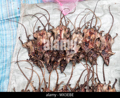 Roasted rats on Market, Luang Prabang, Laos Stock Photo - Alamy