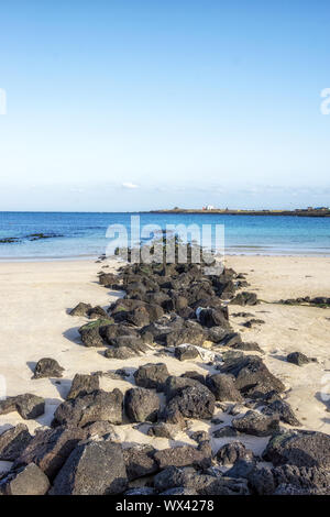 Udo island Hagosudong Beach in Jeju island, Korea Stock Photo - Alamy