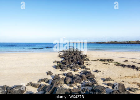 Udo island Hagosudong Beach in Jeju island, Korea Stock Photo - Alamy
