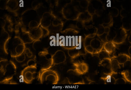 Microscopic Cell Organisms as an Abstract Art Stock Photo - Alamy