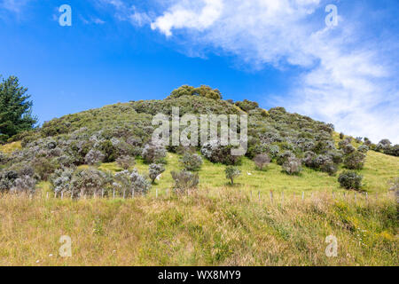 typical rural landscape in New Zealand Stock Photo - Alamy