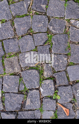 old stoneblock pavement cobbled with square granite blocks with green ...
