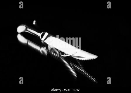 Knife and Fork Carving Set reflected on mirror with black background ...