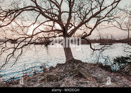 Onuma Koen Quasi -National park nature trail bridge in peaceful cold ...
