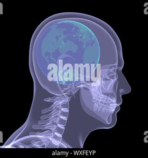 X-ray of the human skull with very small brain Stock Photo - Alamy
