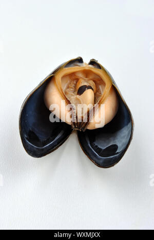 fresh and organic mussel before preparation Stock Photo - Alamy