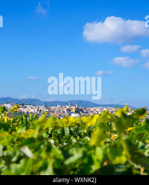 Requena in Valencia province a wine region of Spain from vineyard view ...