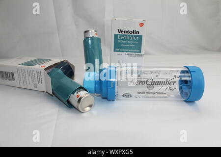Ventolin Salbutamol Sulfate Evohaler inhaler puffer for asthma ...