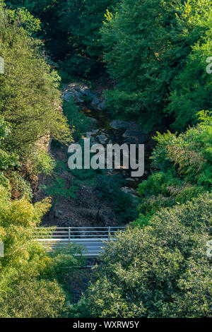 Summer day at the Tbilisi botanical garden in Georgia Stock Photo - Alamy