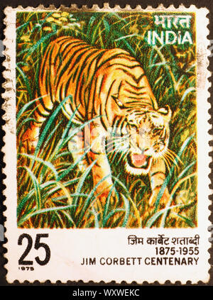 Tiger on ancient indian postage stamp Stock Photo - Alamy