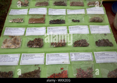 Labelled seed collection native African trees for planting Langa Langa ...