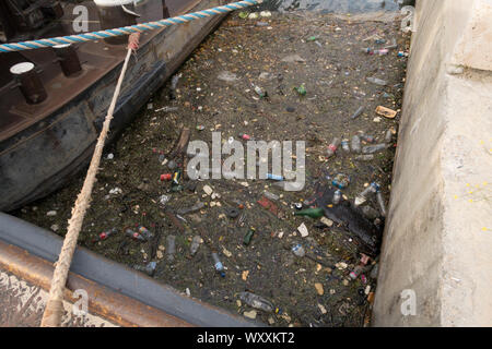 WATER POLLUTION, SEINE, PARIS Stock Photo: 64949227 - Alamy
