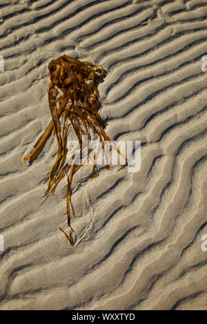 Tidal Patterns (Diseños de marea) Tràigh Uuige - Androil Beach. Lewis ...
