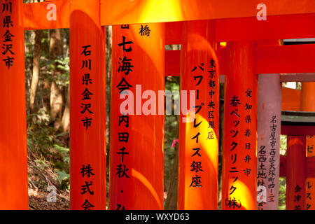 The 1000 Torrii gates of theFushimi Inari shinto shrine Stock Photo - Alamy