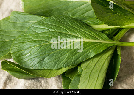 Raw Green Organic Chinese Gai Lan Ready to Cook Stock Photo - Alamy