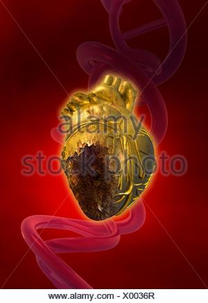 Decaying heart, conceptual illustration Stock Photo: 102063542 - Alamy