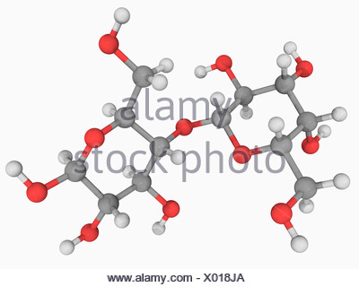 Chemical structure of lactose, a milk sugar molecule. Lactose is the ...