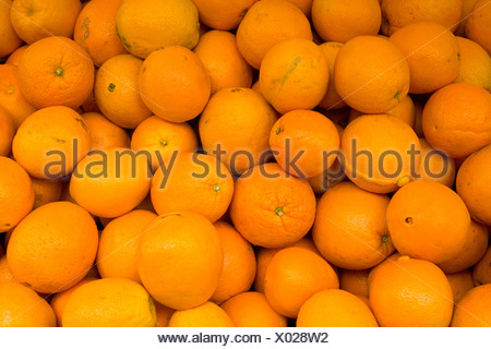 HARVESTING NAVEL ORANGES CALIFORNIA Stock Photo - Alamy