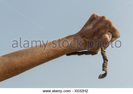 Crippled hand of a Shiva sadhu from Juna Akhara, holy man, practicing ...