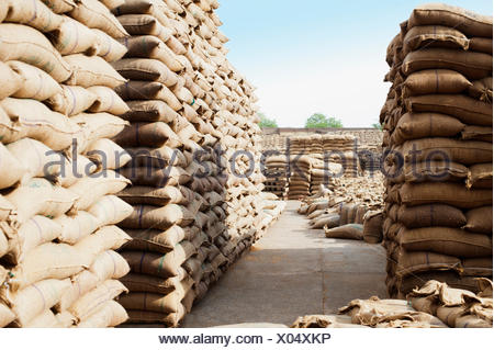 Stacks of wheat sacks in a warehouse, Anaj Mandi, Sohna, Gurgaon ...