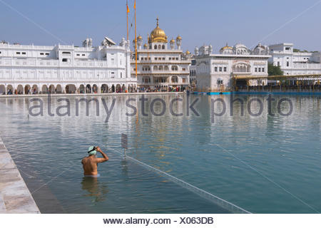 Ritual bathing at Amritsar Golden temple in Punjab, India. A man Stock ...