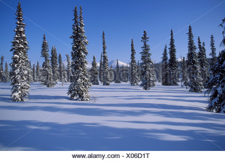 Alaskan winter landscape Stock Photo: 14659621 - Alamy