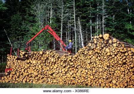 Loading pulp wood, Sussex, New Brunswick, Canada Stock Photo: 15516005 ...