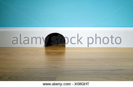 Mouse hole in a skirting board / baseboard Stock Photo - Alamy