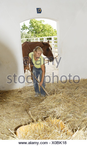 girls mucking out a horse stable Stock Photo: 22761364 - Alamy