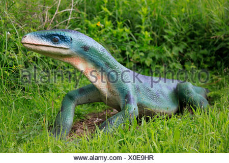 Early Protorosaurus dinosaur, Permian era Over 30 species of lifelike ...