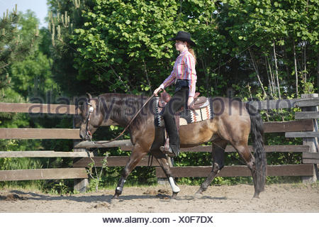 Woman riding a trotting Quarter Horse Stock Photo - Alamy